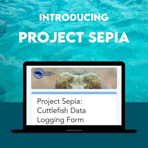 Cuttlefish Conservation Initiative On Linkedin Projectsepia