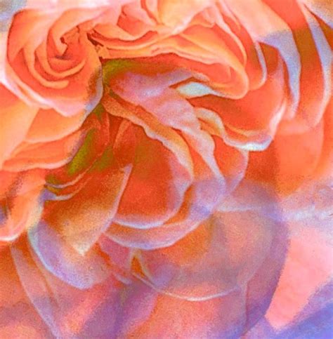 🧡🤍💤🌀🌬️💫🍁🎋 Bea M 18 Comments