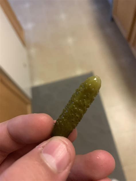 Putins Pickles On Twitter My Pickles Are Very Small Ive Been Told