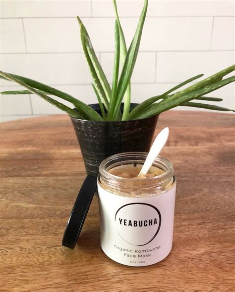 Organic Kombucha Face Mask | Organic kombucha, Organic hair care, Kombucha