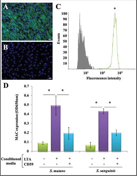 Figure 3 From Can Pulp Fibroblasts Kill Cariogenic Bacteria Role Of