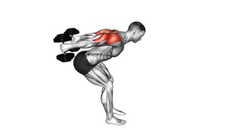 Dumbbell Bent Over Reverse Raise Skier Male Video Guide And Tips