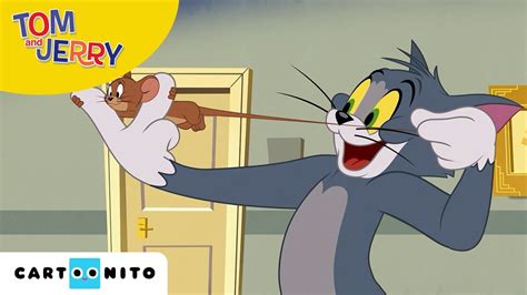 Tom Ve Jerry Tom Uykusuz At Lily Howchin Blog