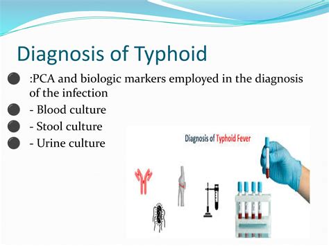 Typhoid And Its Transmission And Its Prevention And Medication Pdf