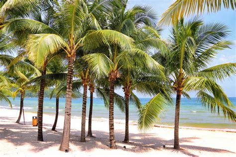 Khem Bilder Durchsuchen 347 Archivfotos Vektorgrafiken Und Videos