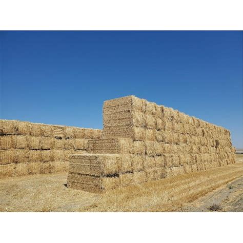 American Excelsior Premier Straw Erosion Control Lawn Cover Ground
