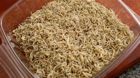 Dried Anchovies Nutrition Facts At Margaret Burgin Blog