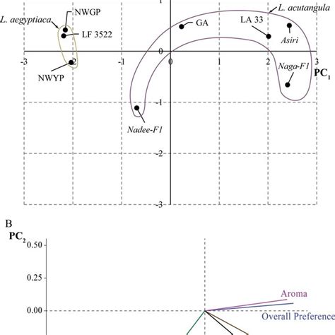 The Pc Biplot A And The Scree Plot B Drawn For Weighted Scores Of Download Scientific