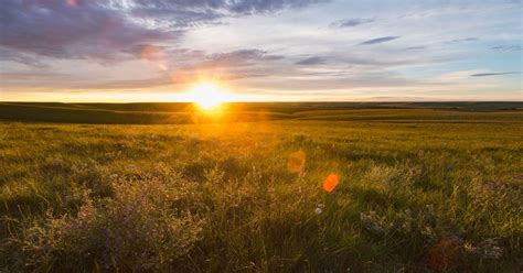 Tallgrass Prairie National Preserve The Nature Conservancy