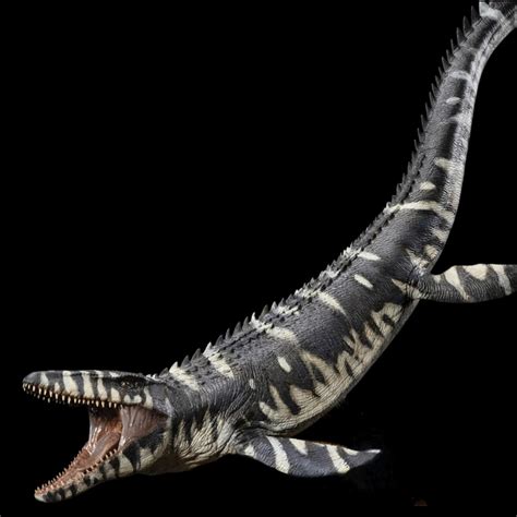 Nanmu Mosasaurus 20 Lord Of Abyss Model Mosasauridae