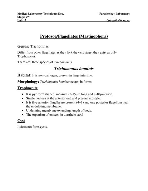 Protozoa Flagellates Mastigophora Stage 2 Nd Lab 5 م م ريم علاء