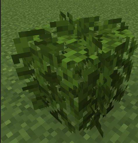 Leaves R Minecraft