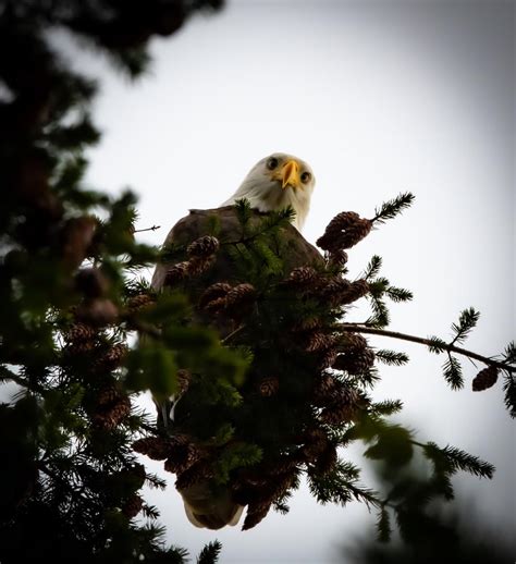 You Eyeballing Me Rwildlifephotography