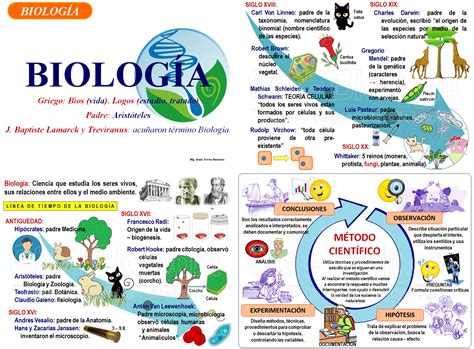 Biología Didáctica Tema 01 Introducción A La Biología