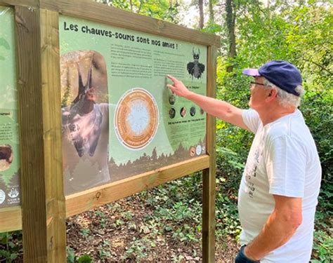 Flawinne Le Bois De La Flache Vous Attend Pour Une Balade Didactique