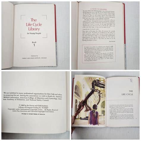 The Life Cycle Library Vtg Sexual Health Human Growth And Etsy