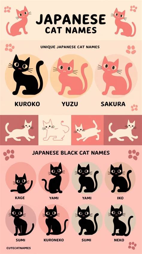 100 Japanese Cat Names With Meanings Japanese Cat Cat Names Cute