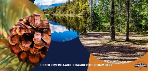 Heber Overgaard Chamber Of Commerce