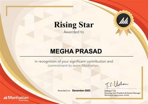 Manhattanassociates Happyyearending Megha Prasad 28 Comments