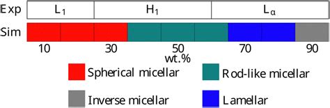 Investigating Anionic Surfactant Phase Diagrams Using Dissipative Particle Dynamics Development