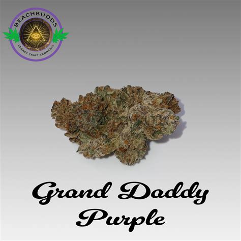Grand Daddy Purp Indica Beach Budds