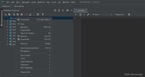 Navicatdatagrip可视化数据库开发管理工具的下载安装以及连接mysql8（windows）（含资源）datagrip