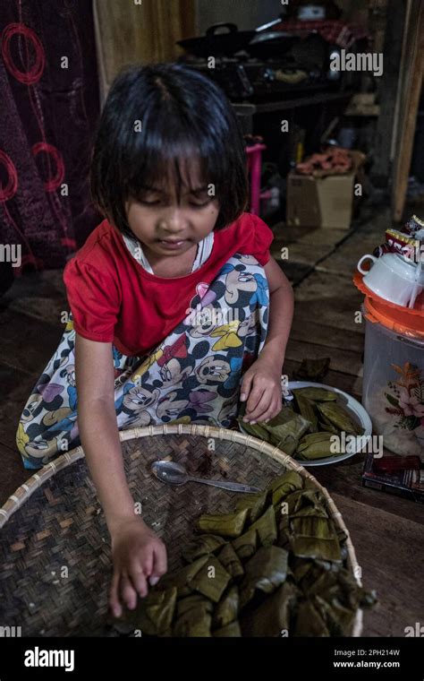 Minamata Disease Mercury Pollution Illegal Gold Mining Effects Java