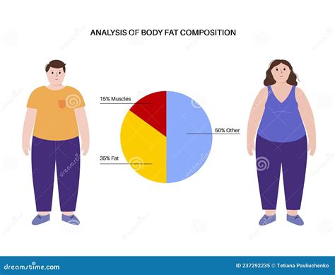 Body Fat Composition Stock Vector Illustration Of Person 237292235