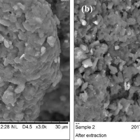 The Sem Results For Microalgae Sample A Before Lipid Extraction B Download Scientific