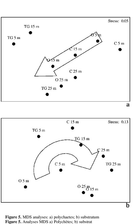 Dendrogram Relative To Polychaetes Analysis Dendrogramme Relatif à