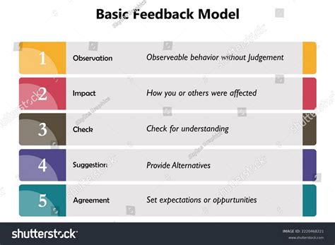 Five Steps Basic Feedback Model Description Stock Vector Royalty Free