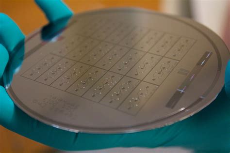 New Biochips That Mimic Our Bodies Could Speed Development Of Drugs