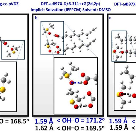 Optimized Structures Of Caproleic Acid A Dimeric Structure Forming