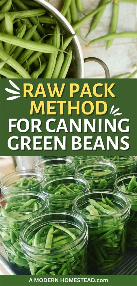 How To Can Green Beans Recipe In 2024 Canning Beans Pressure
