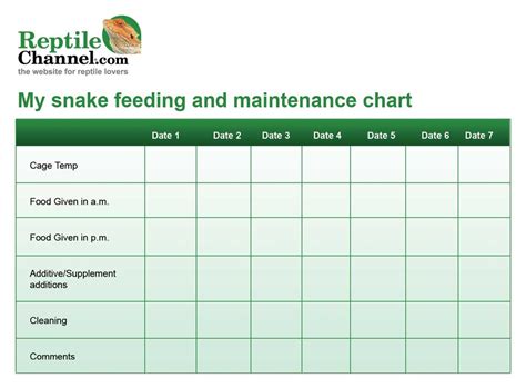 Corn Snake Feeding Chart Minimalist Chart Design