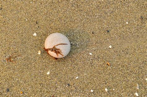 Page 7 1 000 Beach Erosion Pictures