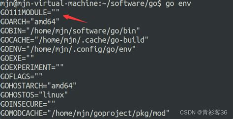 Vs Code配置go编译调试环境编写menu第一版简单程序vscode针对go语言 设置编译器 Csdn博客