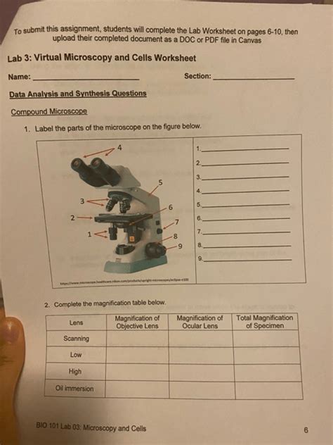 Virtual Microscope Lab Worksheet Answer Key