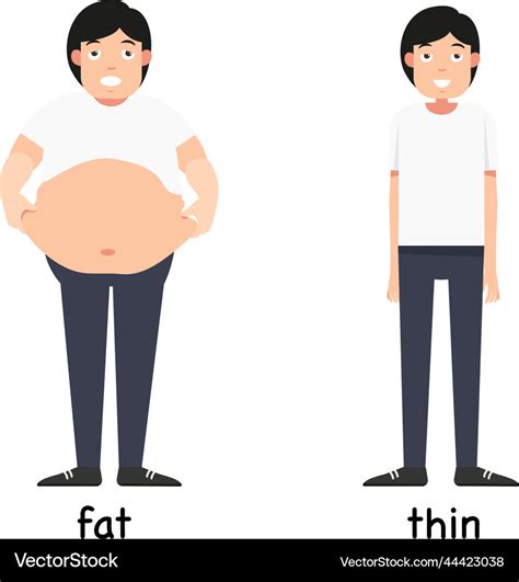 Opposite Words Fat And Thin Royalty Free Vector Image