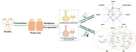 Alcohol Distillation And Its Impact On The Senses Distilling