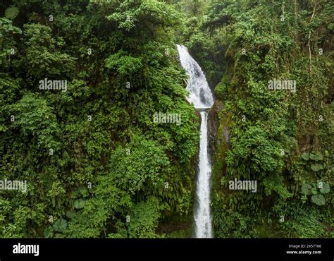 Aerial View Waterfall In The Rainforest Catarata De La Paz La Paz
