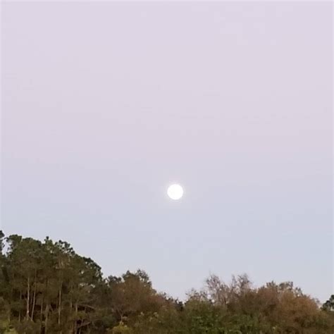 Michele Van Epps Michelevanepps • Instagram Photos And Videos