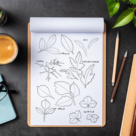 Flower Leaf Tracing Guide Learn To Draw Leaves Tracing Etsy
