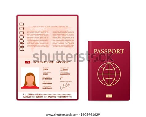 Blank Open Passport Template International Passport Stock Vector