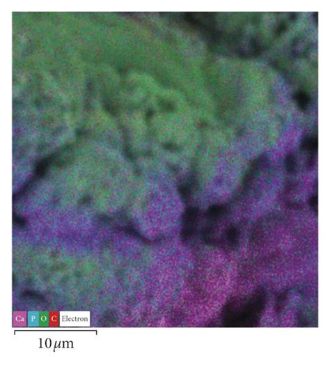 Elemental Mapping Showing The Elemental Distribution In The Composite