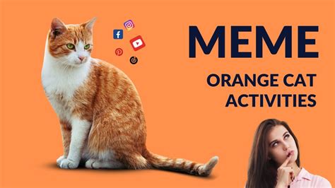 Why Orange Cat Behavior Memes Take The Internet By Storm Youtube