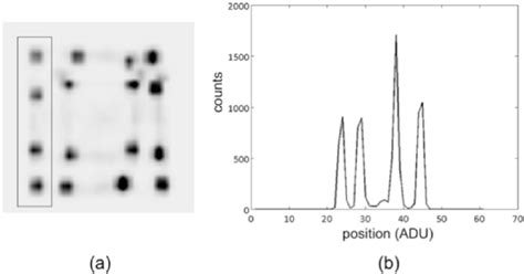 A Flood Histogram Of The Array Of 4 × 4 Lyso Crystals Coupled To