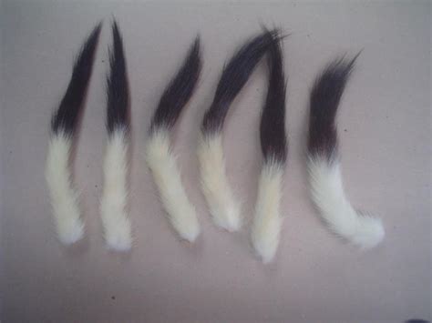 Theodora Fur Corp Ermine Tails
