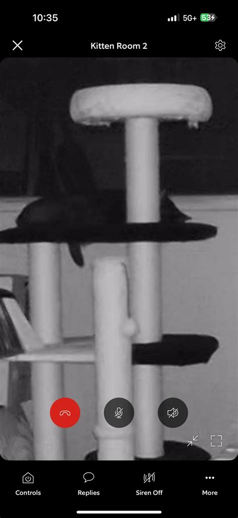 My Morning Alarms Are Very Depressing Album On Imgur