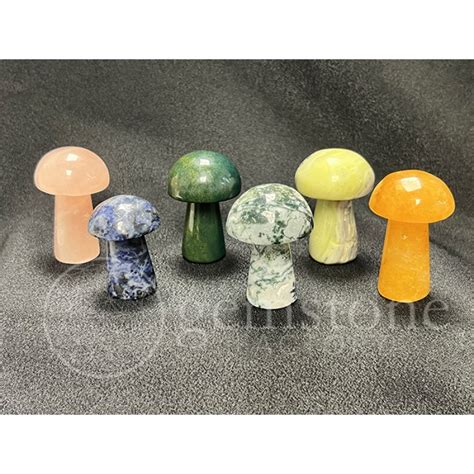 Mushroom Assorted 6pc Set